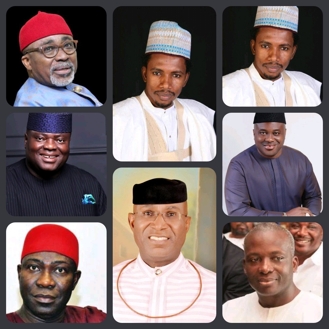 Abaribe, Ekweremmadu, Omo-Agege, Gershom Bassey, Sandy Onor, and other ...