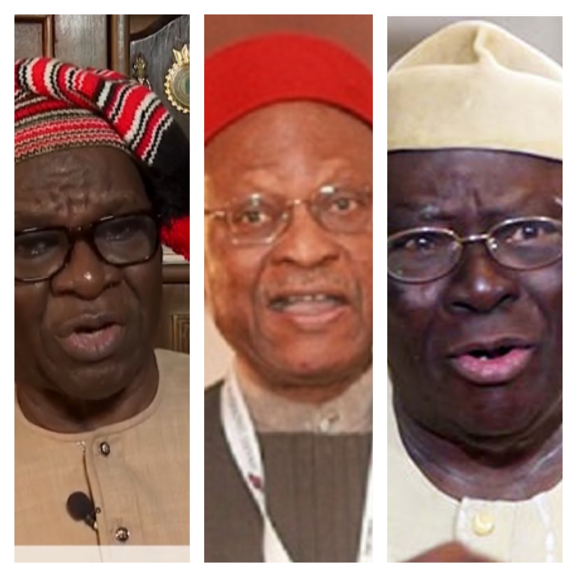 Ex—Finance Minister, Kalu Idika Kalu, Anyaoku, Pa Adebanjo, Agbakoba ...